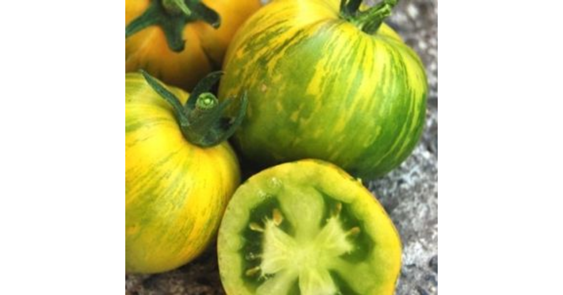 Paradicsom koktél csíkos palánta - Lycopersicon 'Green Zebra F1' K10 ...